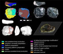 Evidence of Levallois strategies on cores at Guanyindong cave ...